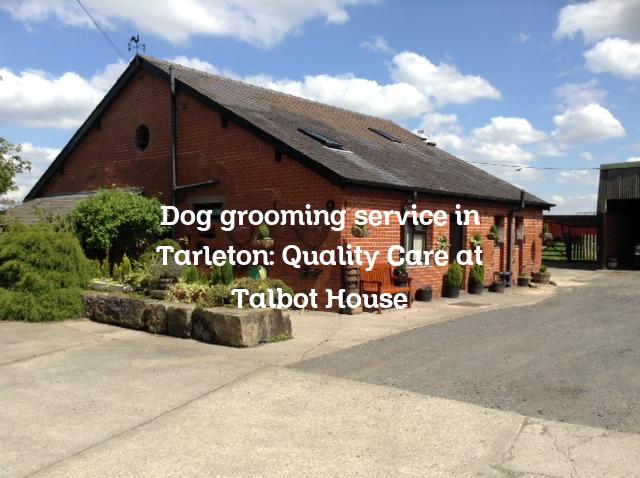 Dog grooming service in Tarleton: Quality Care at Talbot House | Talbot ...