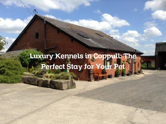 Luxury Kennels in Coppull: The Perfect Stay for Your Pet | Talbot House ...