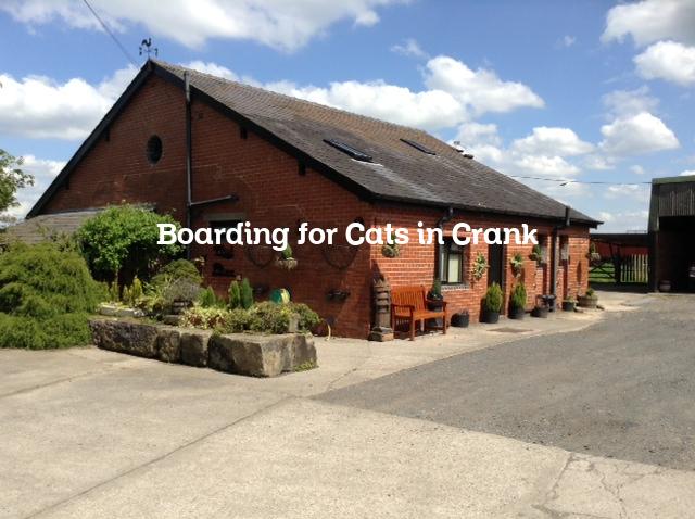 Boarding for Cats in Crank